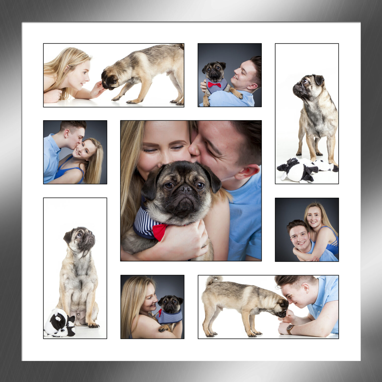 Pet & Dog Portrait Photography | Bartley Portrait Studios Cheshire